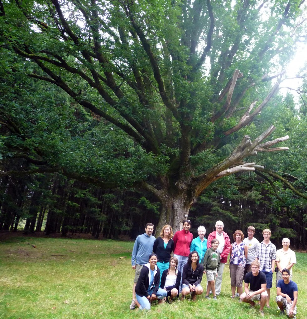 Historic Peace Oak in France Is Source of Sapling at EMU - EMU News