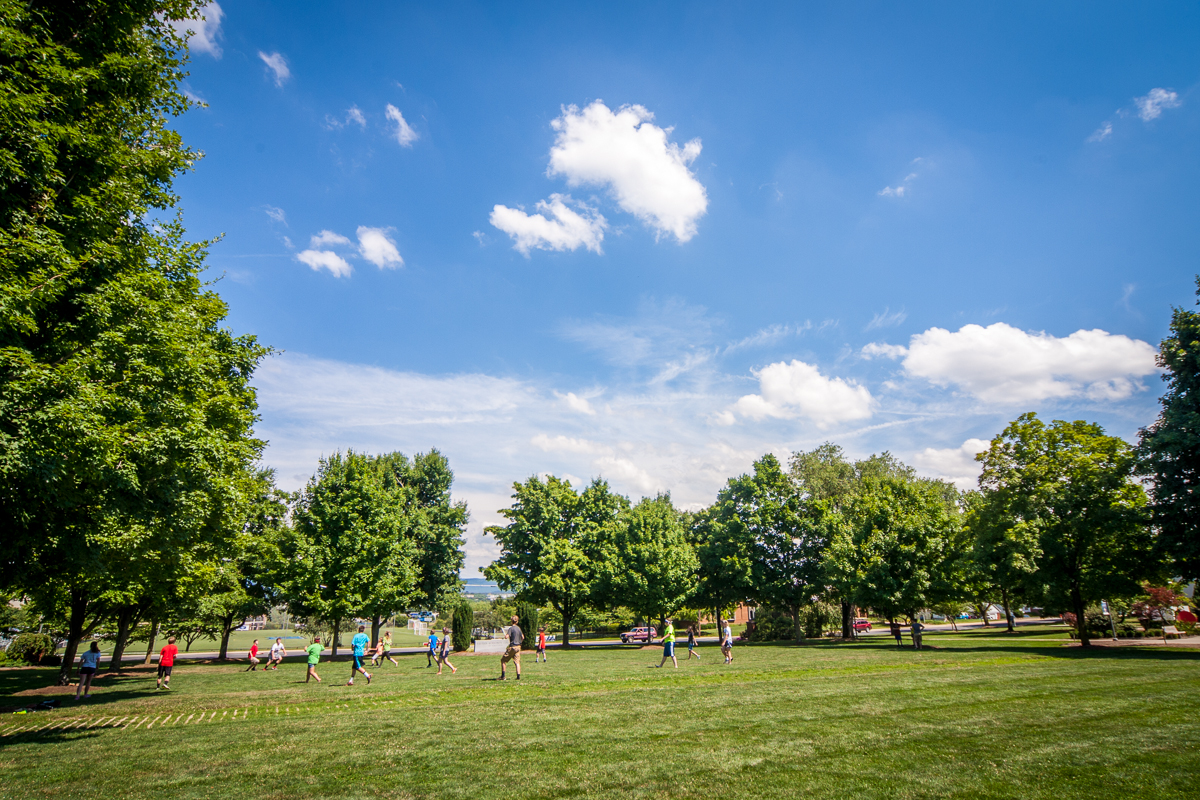It’s summertime and the living is . . . (well, not easy) – it’s really ...