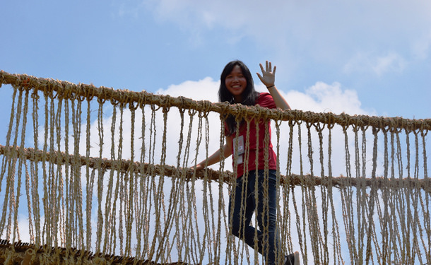 Vicky bridge - EMU News