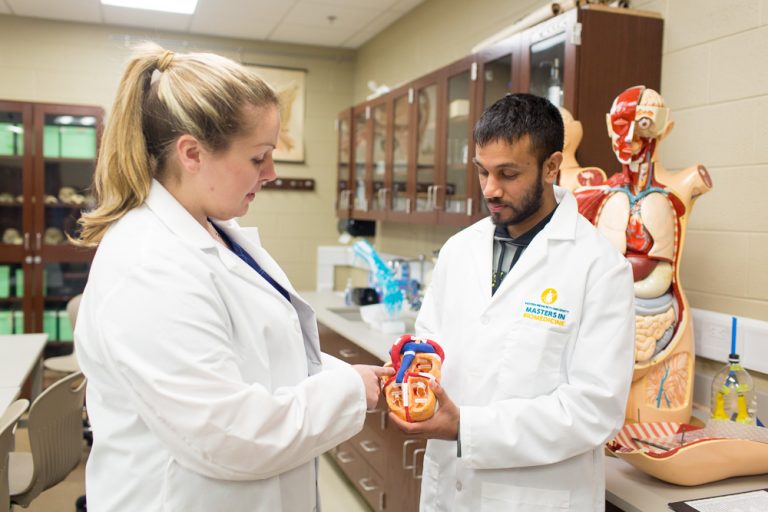 Record number of MA in biomedicine students defend original research ...