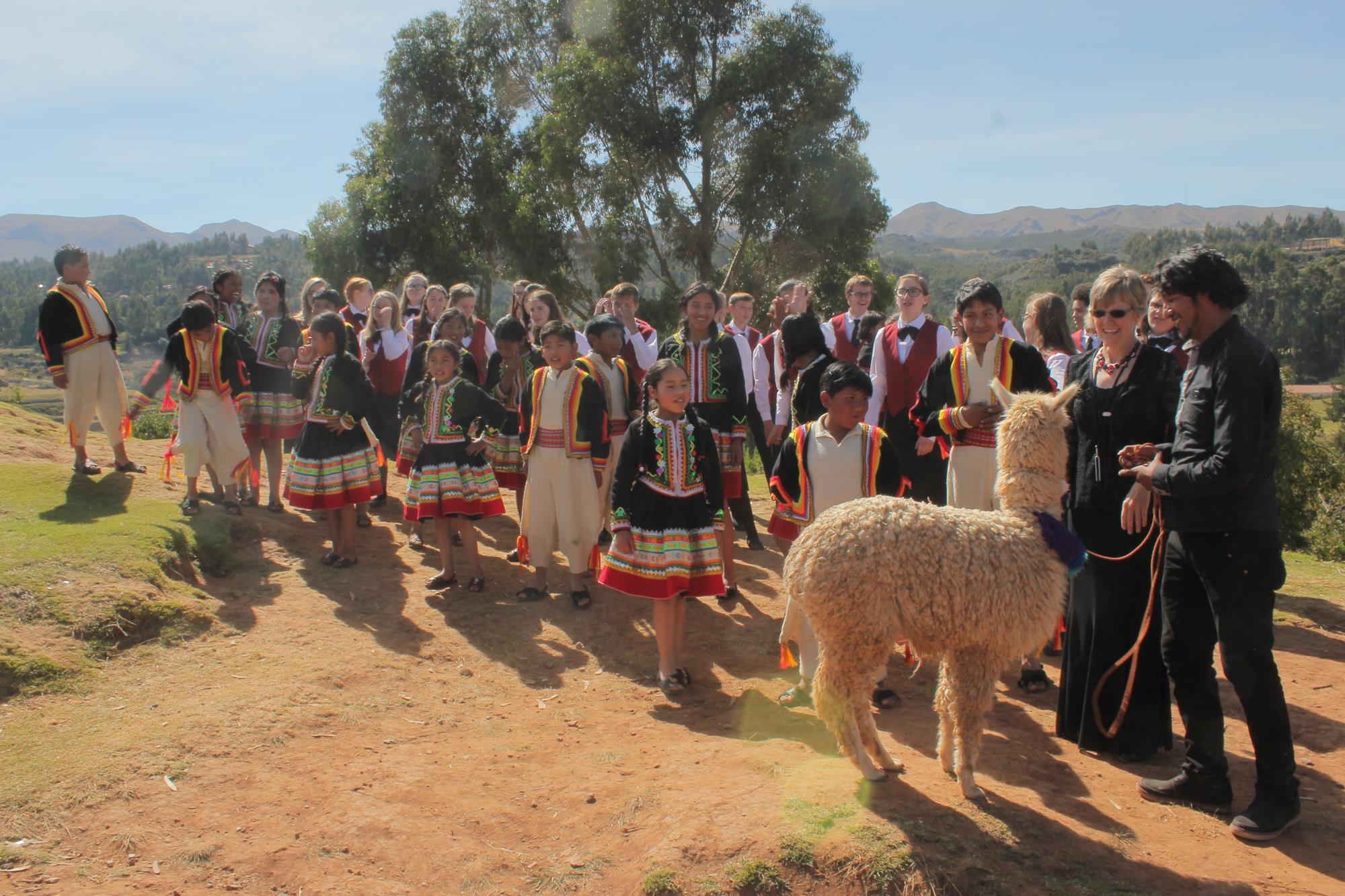 Singing Alpaca MILEGI Llama Stuffed Animal, Singing Walking Alpaca