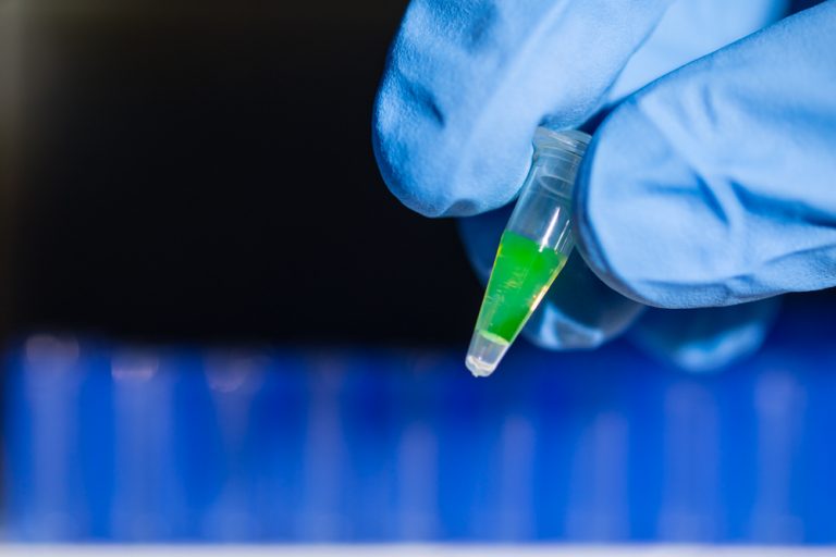 Biochemistry major awarded accreditation by the American Society for ...