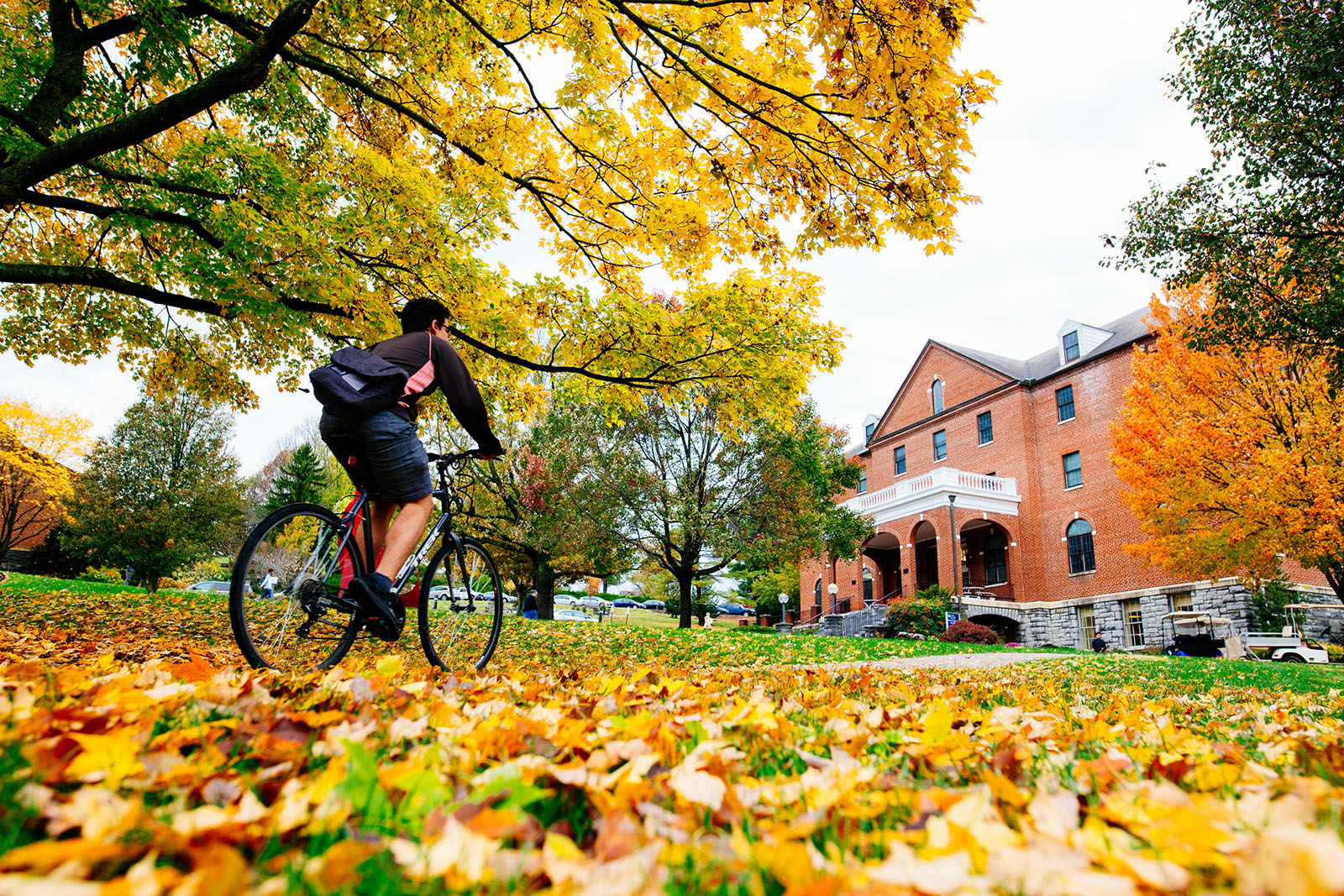 EMU sees growth across undergrad, grad programs - EMU News